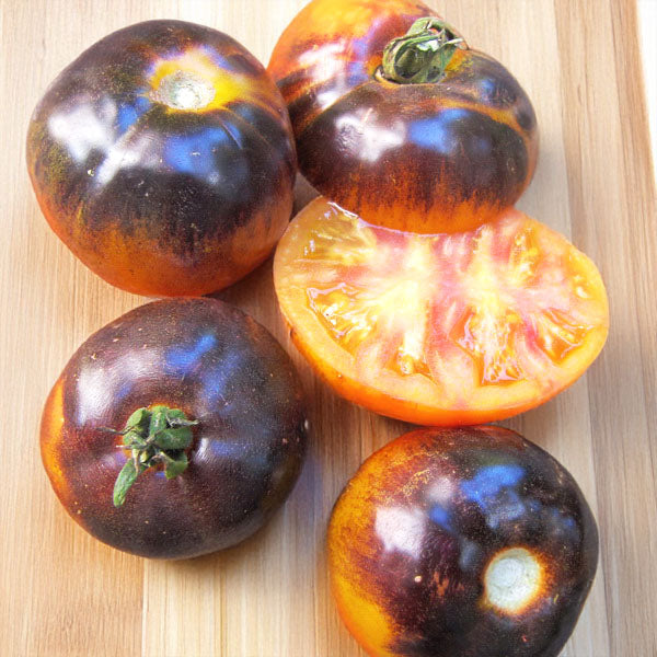 TOMATO - BLUE GOLD – Everfield Seed Co.